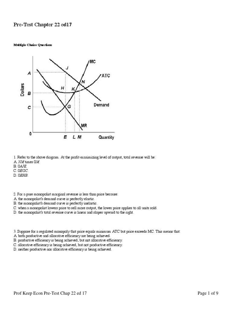 Microeconomics Practice Test | PDF | Monopoly | Profit (Economics)