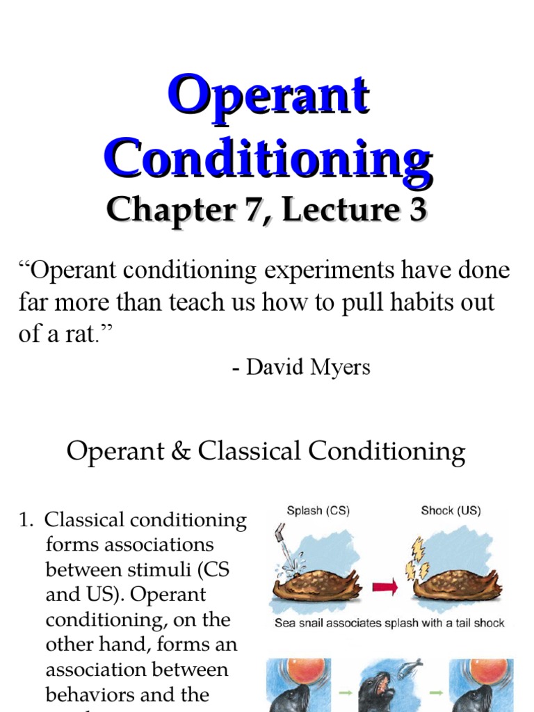 Understanding Operant Conditioning Concepts | PDF | Reinforcement ...
