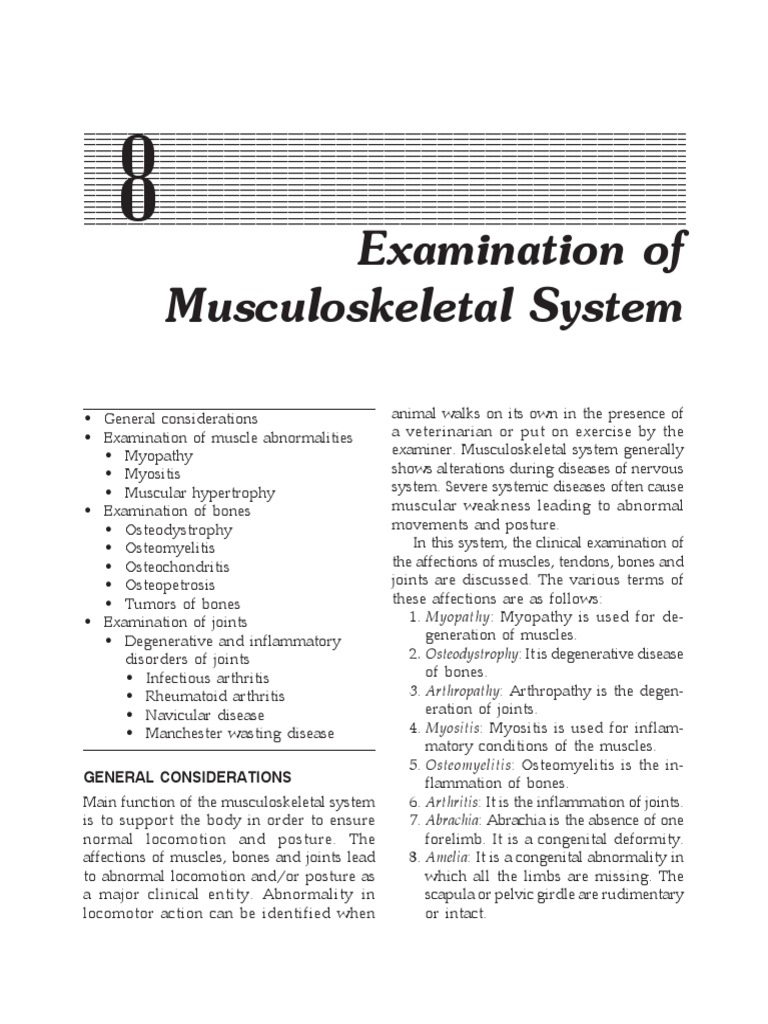 Musculoskeletal System Examination Guide | PDF | Joint | Human ...