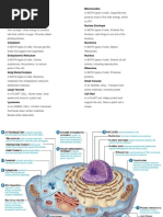 Bond Angle Chart | PDF | Stereochemistry | Atomic