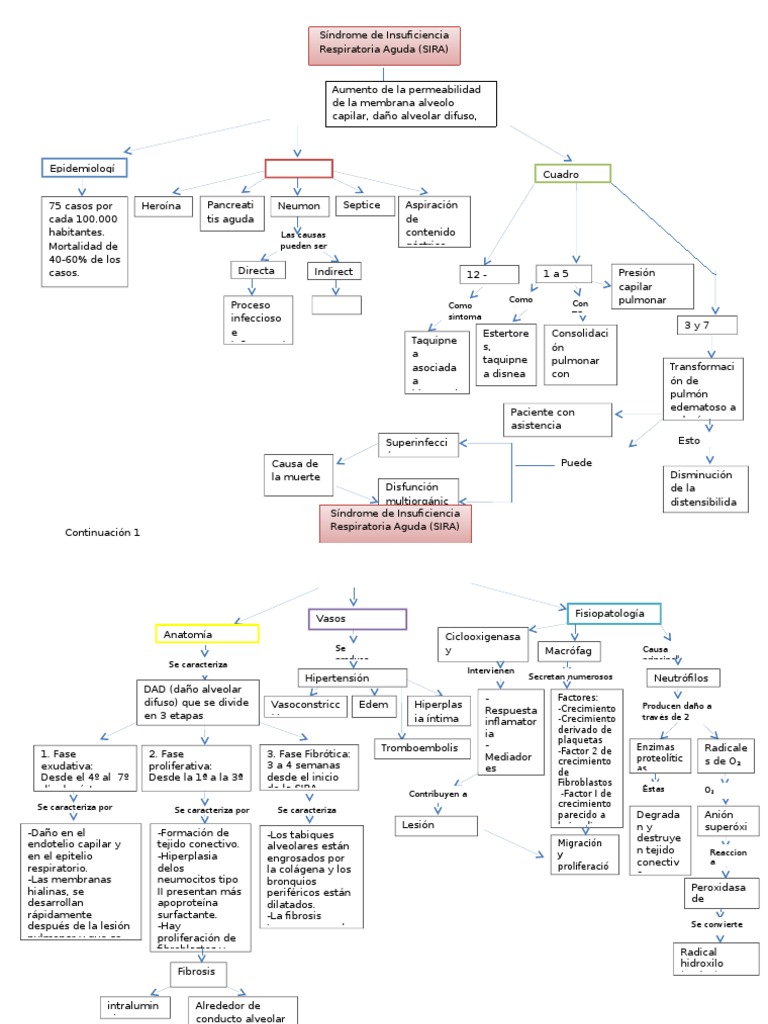 Mapa Conceptual SIRA | PDF | Pulmón | Sistema respiratorio