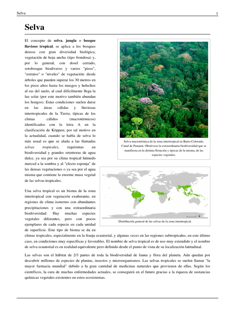 Selva | PDF | Selva | Zona tropical