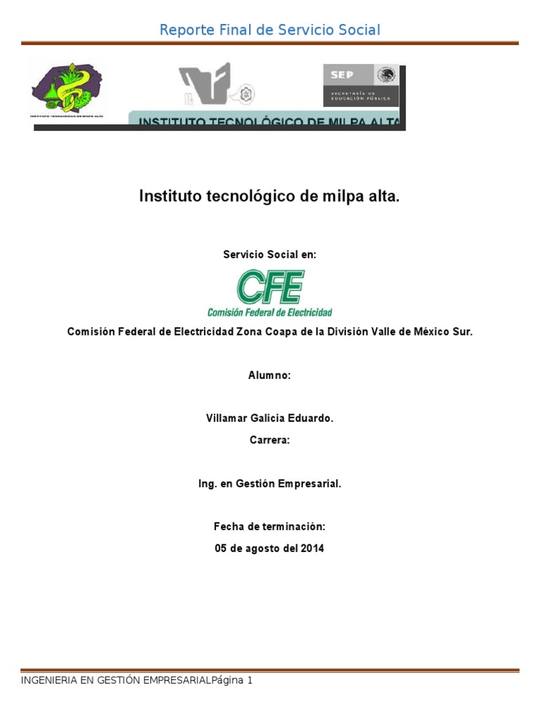 Ejemplo_de_Reporte_Final_de_Servicio_Social.docx | México | Bases de datos