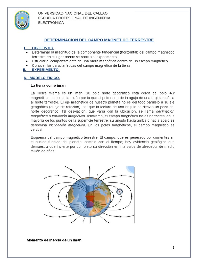 Campo Magnetico | PDF | Campo magnético | Magnetismo