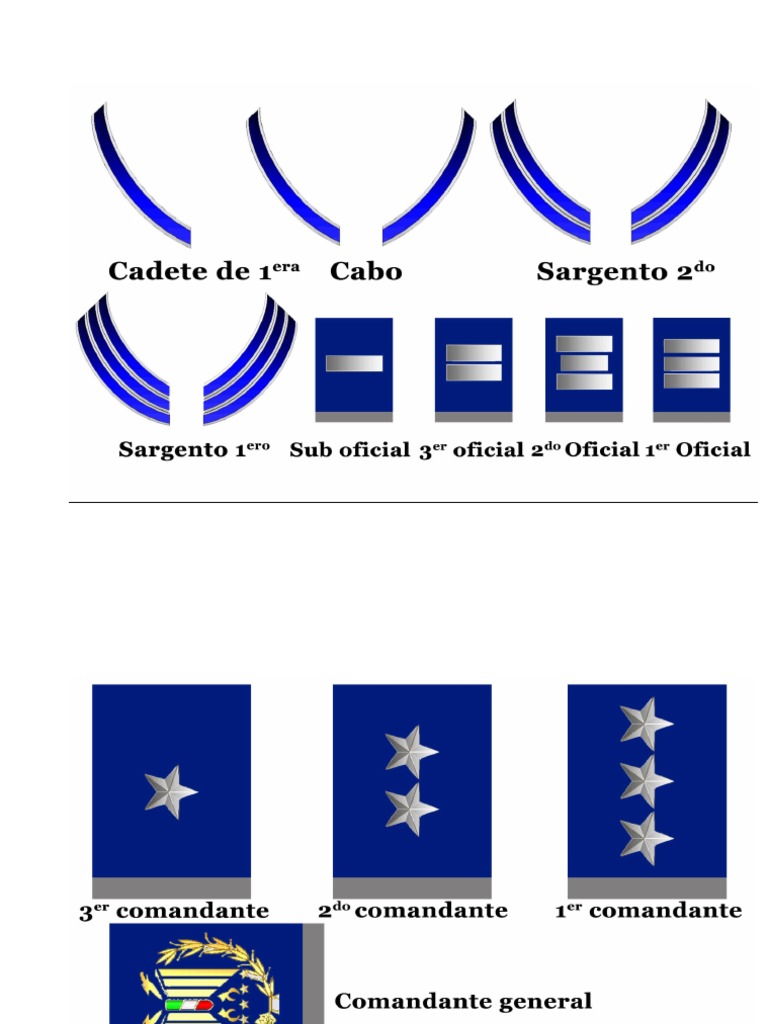 Grados Del PDMU | PDF