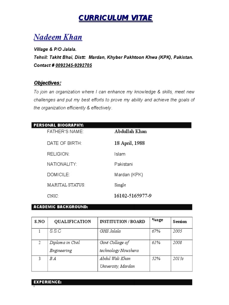 Nadeem New CV | PDF