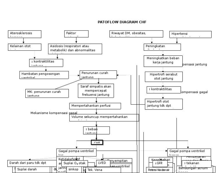 Patoflow Diagram CHF | PDF