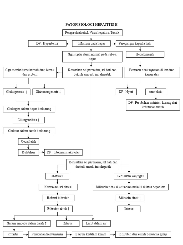 Patofisiologi Hepatitis b