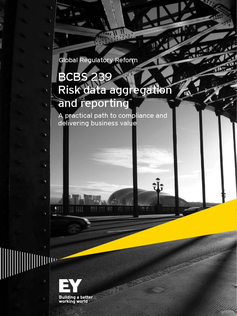 Basel - Bcbs 239 | PDF | Regulatory Compliance | Governance