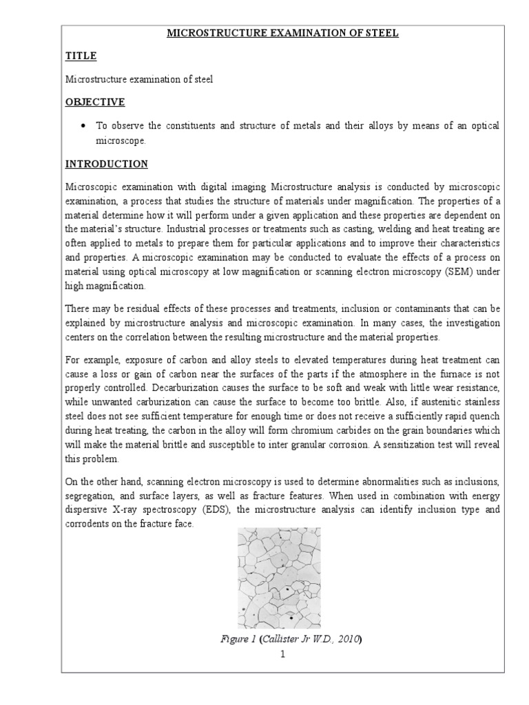 Microstructure Examination of Steel | PDF | Microstructure | Heat Treating