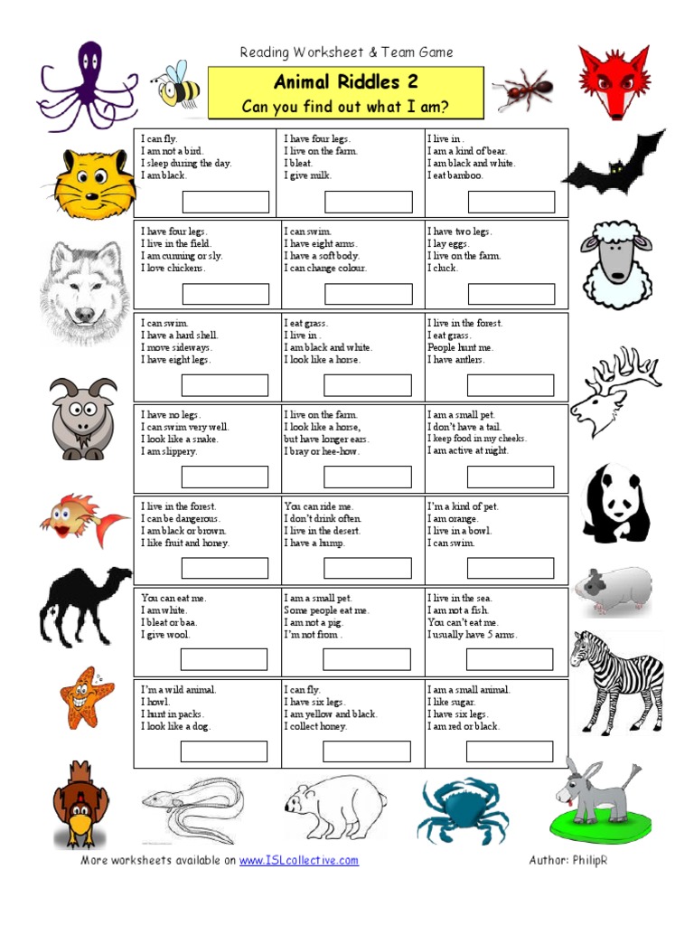 Animal Riddles Worksheet & Game | PDF | Animals And Humans | Organisms
