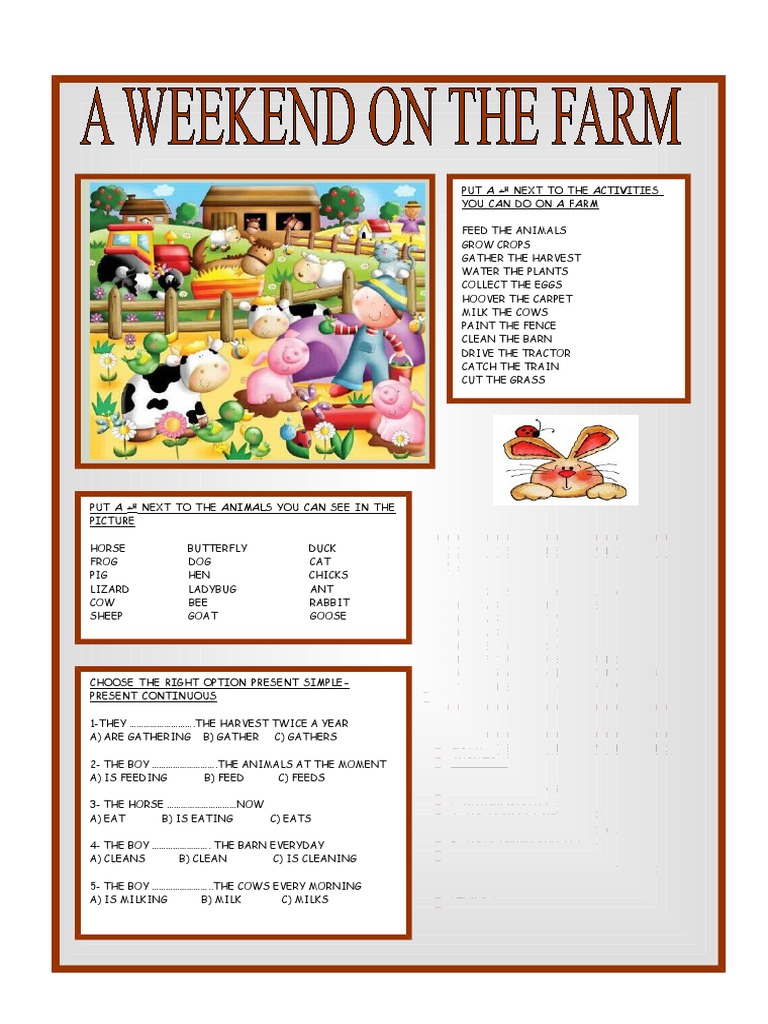 Farm Animal Observation Exercise | PDF