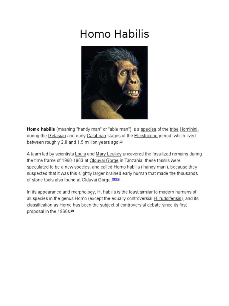 Homo Habilis | PDF | Homo | Paleoanthropology