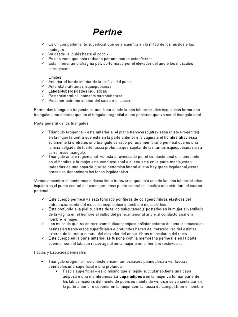 Anatomia Perine | PDF | Tejido suave | Sistema musculoesquelético