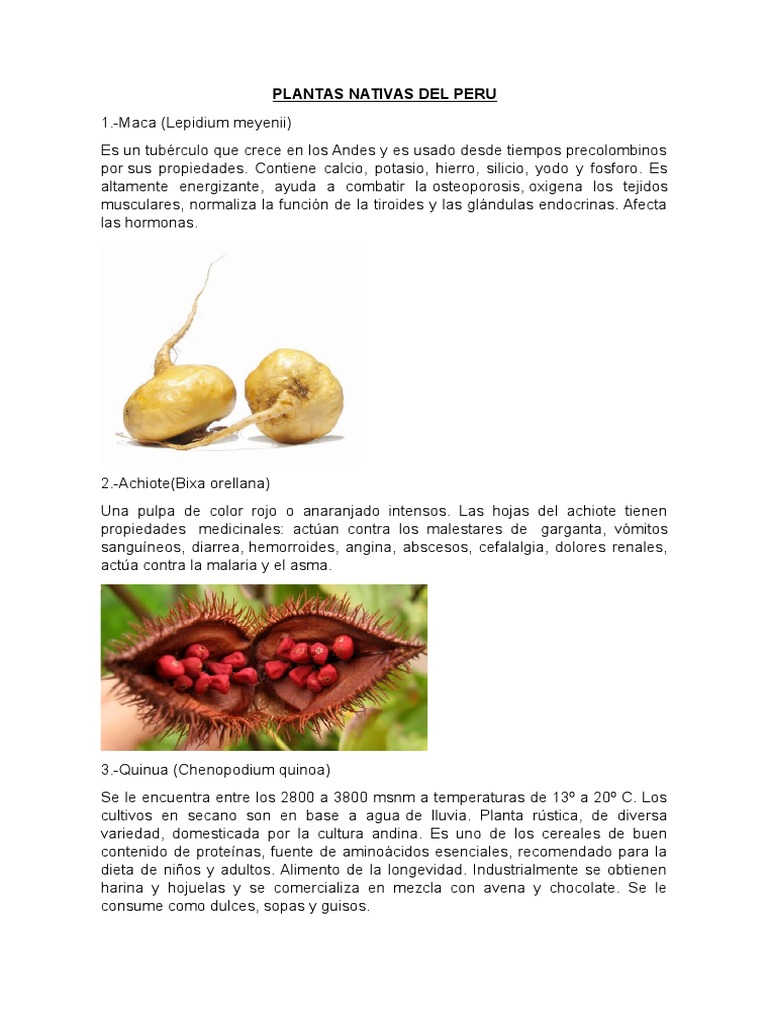 PLANTAS NATIVAS DEL PERU | Vitamina C | Vitamina
