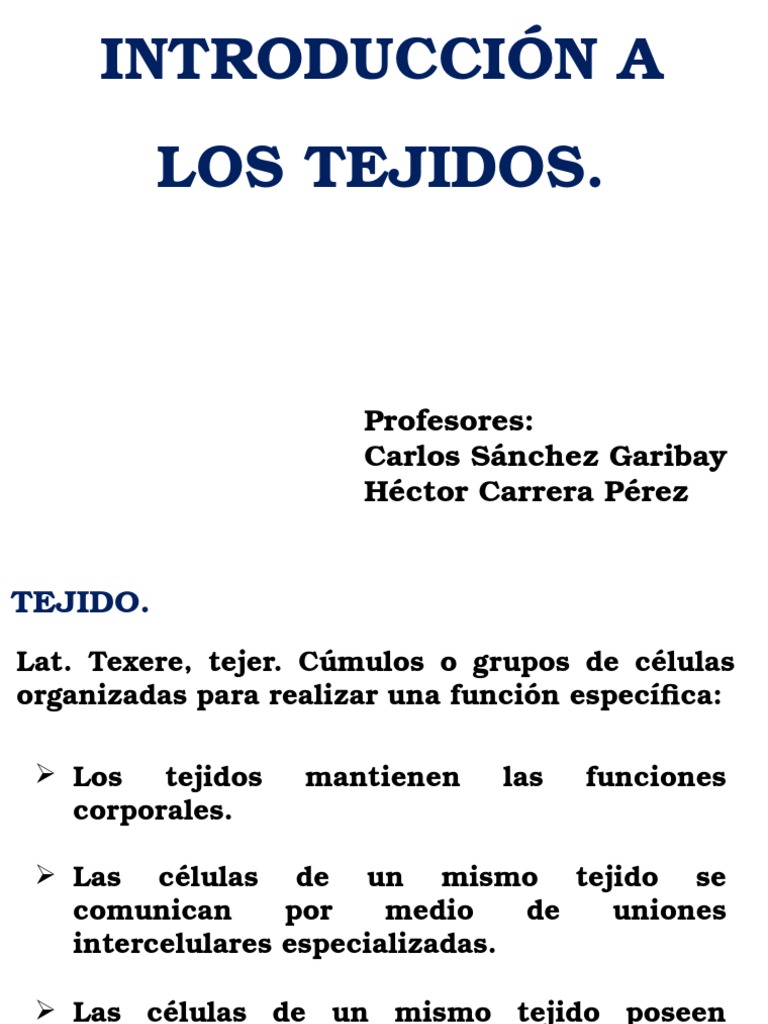 3 Introduccion A Tejidos | PDF | Tejido conectivo | Epitelio