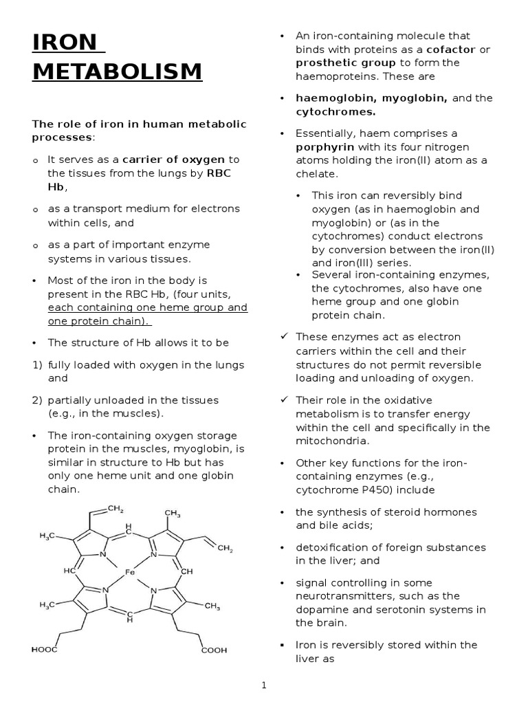 The Role of Iron in Human Metabolic Processes | PDF | Biochemistry ...