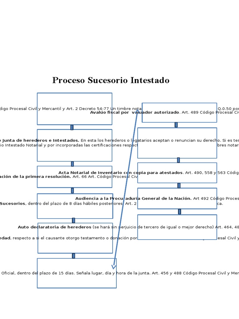 Expediente Proceso Intestado | Intestacy | Herencia