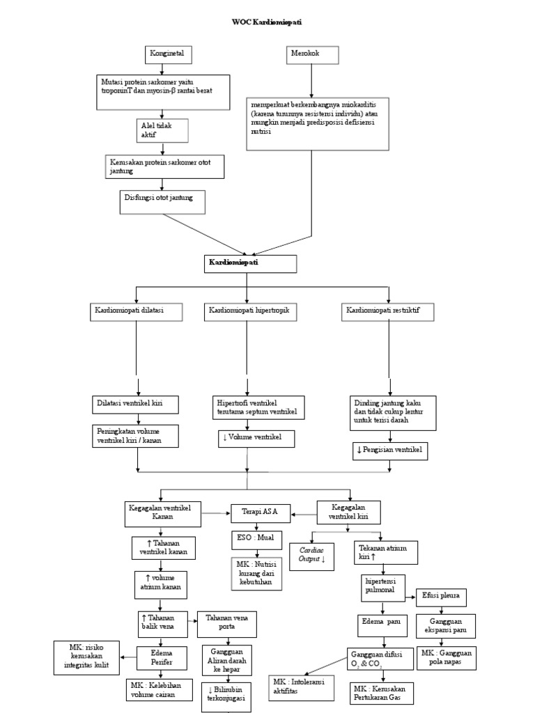WOC Kardiomiopati | PDF