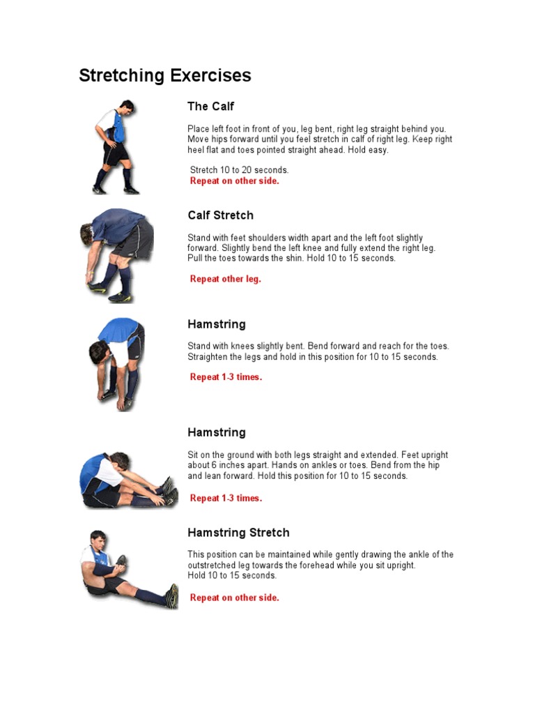 Stretching Exercises | PDF | Flexibility (Anatomy) | Physical Exercise