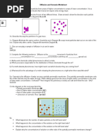Tea Bag Diffusion Experiment Insights | PDF | Diffusion | Water