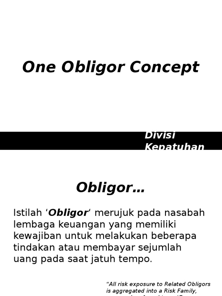 One Obligor Concept | PDF