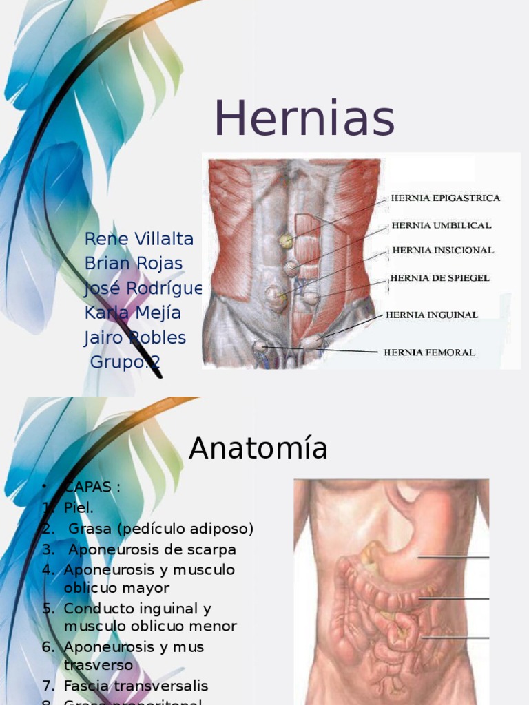 Presentacion Hernias | Abdomen | Anatomía