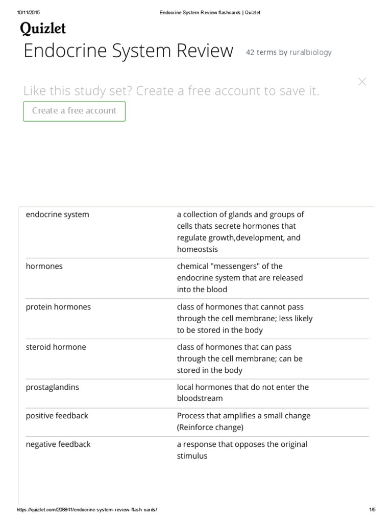 Endocrine System Review Flashcards - Quizlet | PDF | Hormone ...