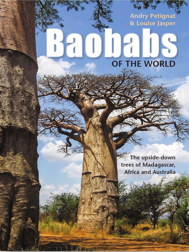 Baobabs: A Global Guide | PDF | Horticulture And Gardening | Landscape