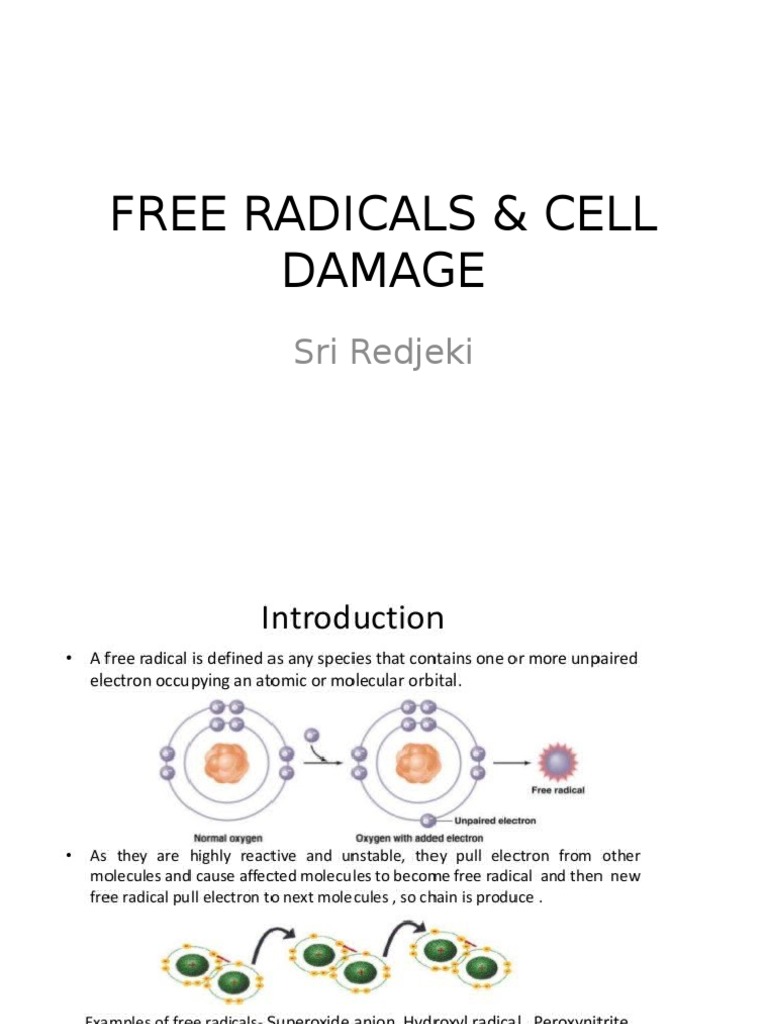 Free Radicals & Cell Damage: Sri Redjeki | PDF