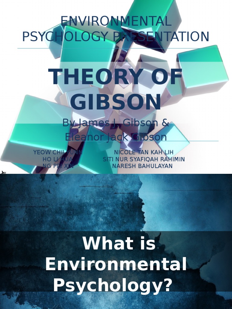 Theory of Gibson | PDF | Perception | Psychology
