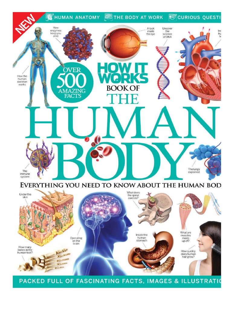 The Human Body | PDF