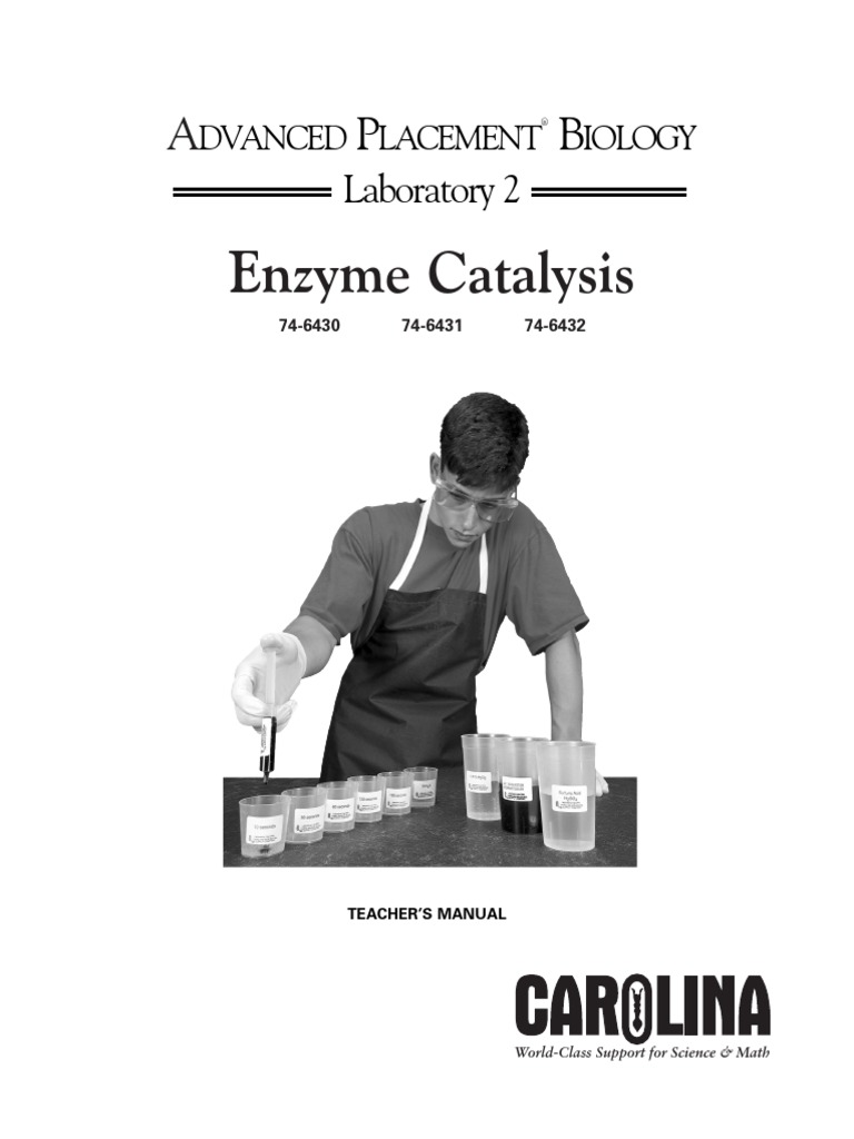 AP Lab 2 Enzyme Catalysis | PDF | Enzyme | Hydrogen Peroxide