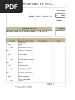 Formato Poliza Cheque | PDF | Finanzas y dinero