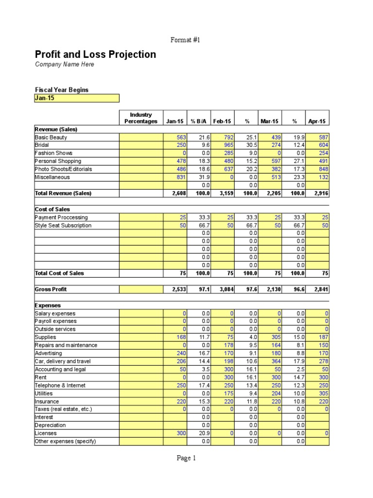 Sample Fillable P&L | PDF