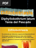 Ficha Técnica Quantrel | PDF | Medicamentos con receta | El embarazo