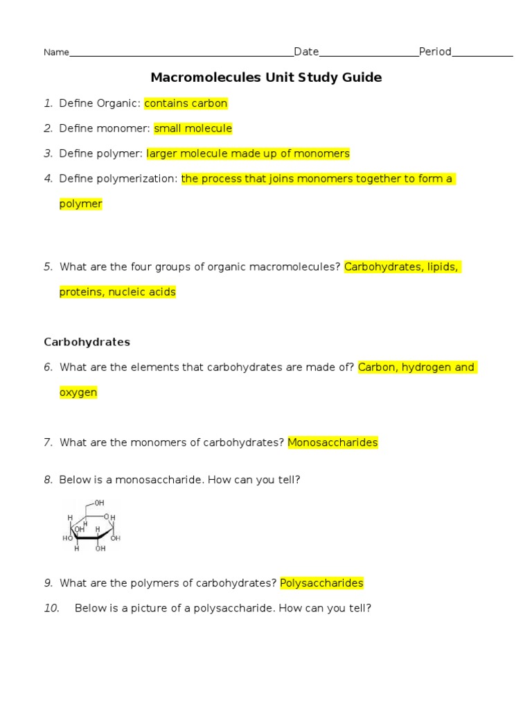 macromolecules study guide key 1 | Polysaccharide | Carbohydrates