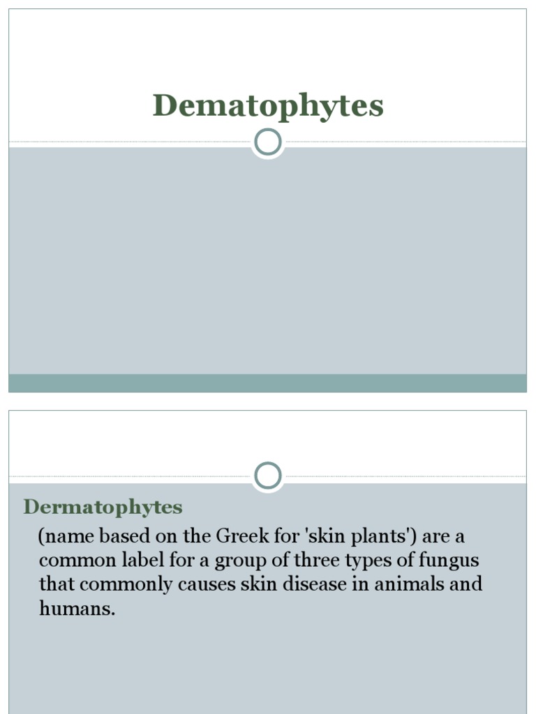 Dermatophytes - Medical Research Institute - Alexandria University ...
