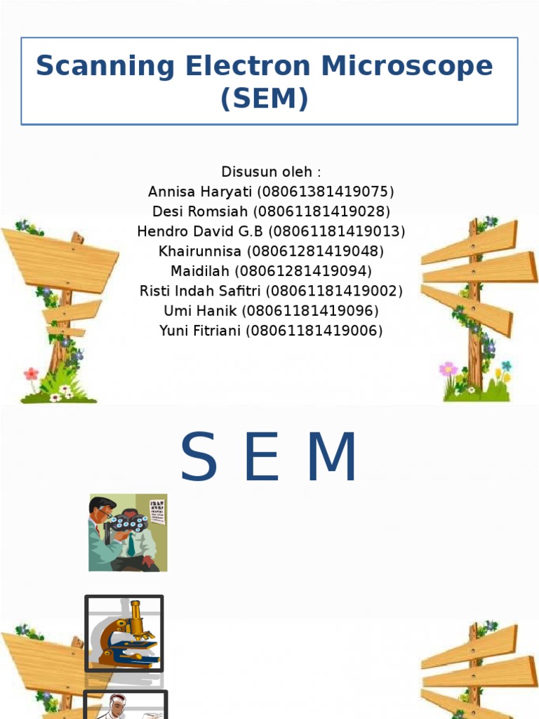 Scanning Electron Microscope | PDF