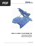 Mike21 HD Step by Step | PDF | Time Series | Fluid Dynamics