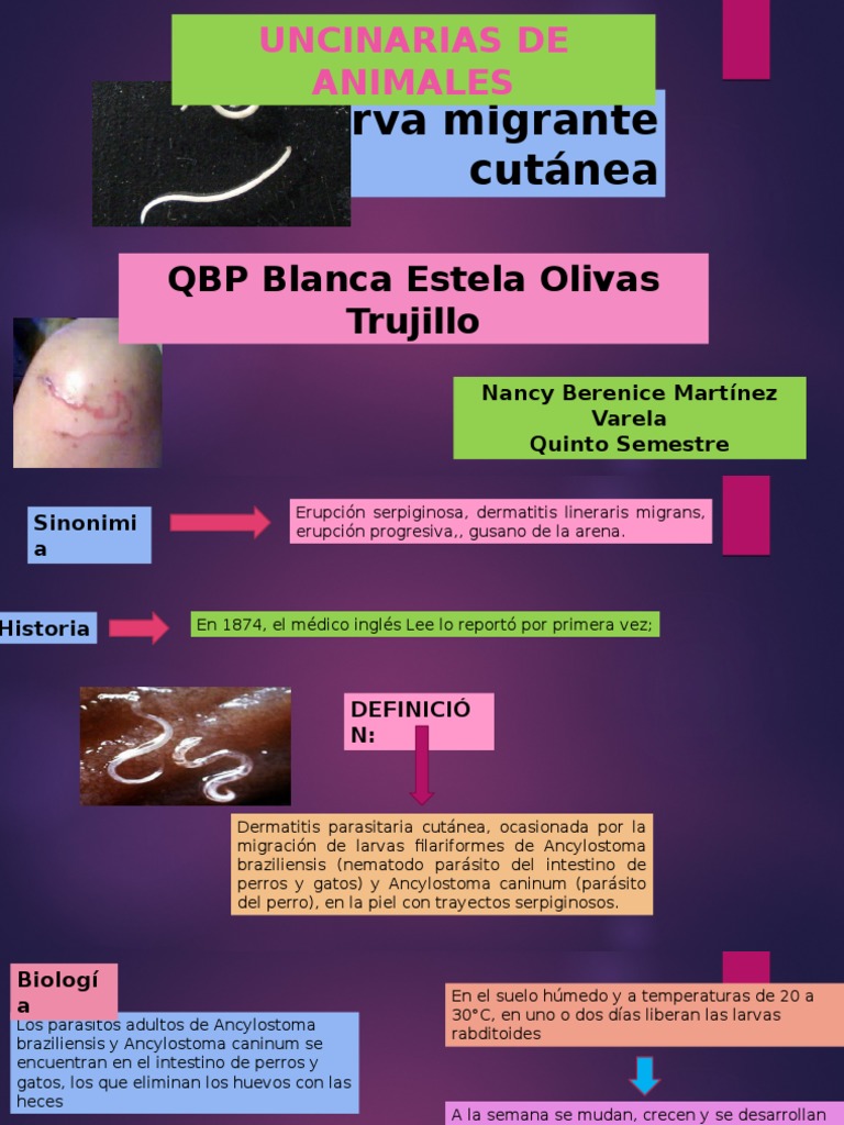 UNCINARIASIS | Parasitología | Microbiología