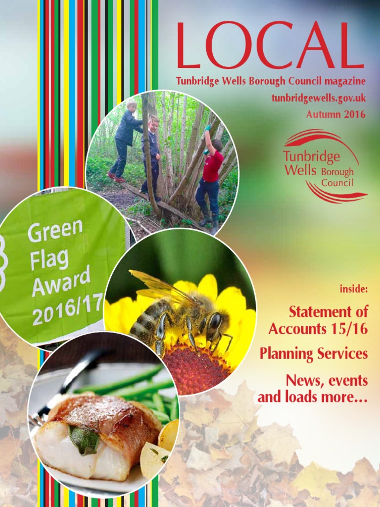 Local - Autumn 2016 | PDF | Audit | Taxes