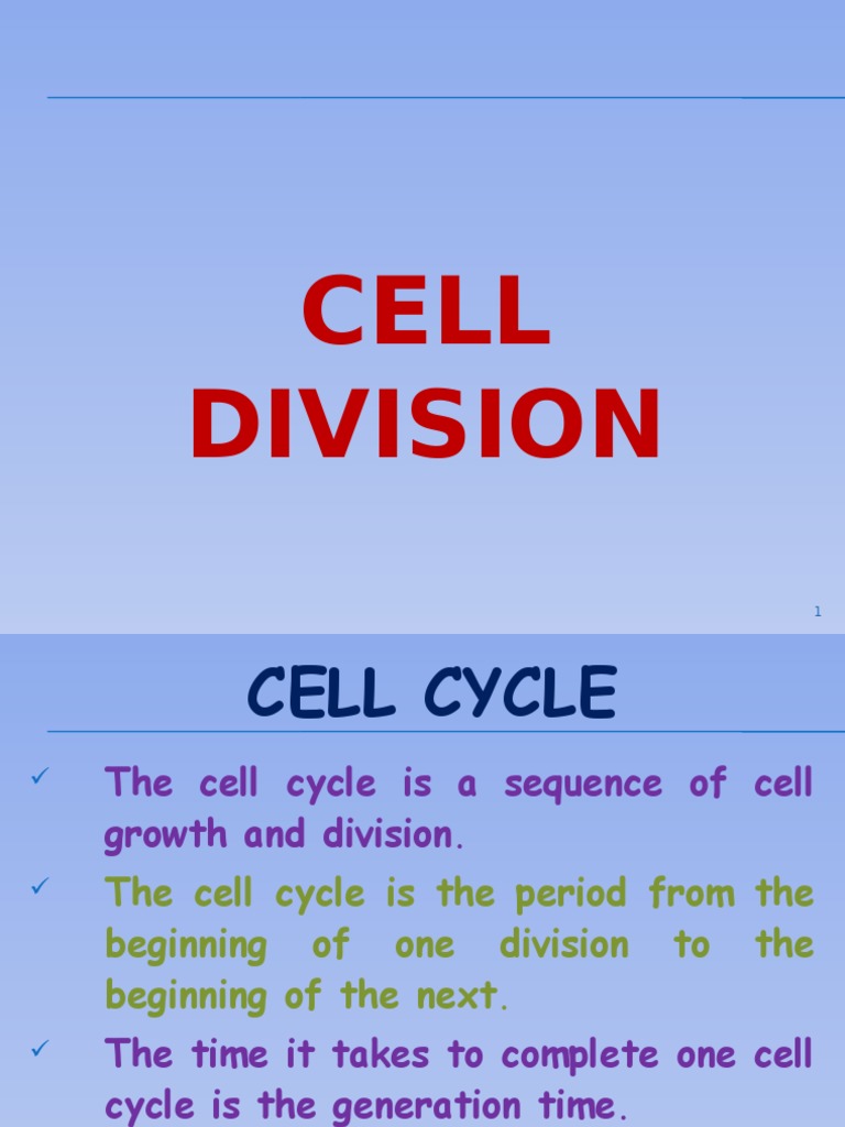 Cell Cycle (Cell Division) | PDF | Meiosis | Mitosis