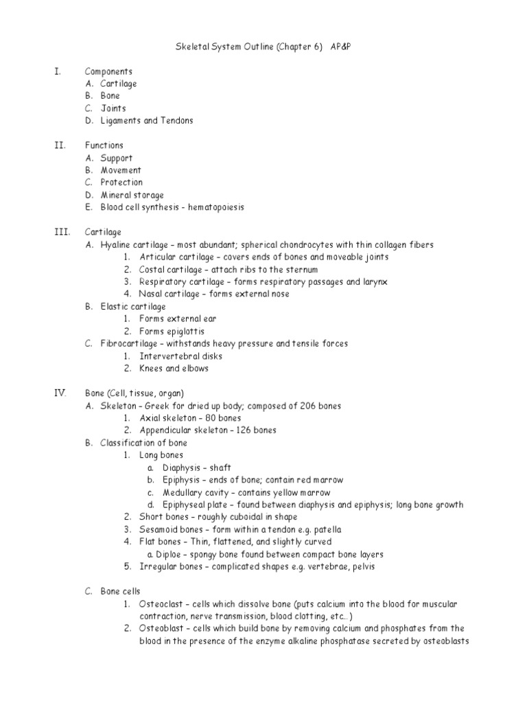 Chapter 6 Skeletal System Outline | PDF | Skeleton | Bone