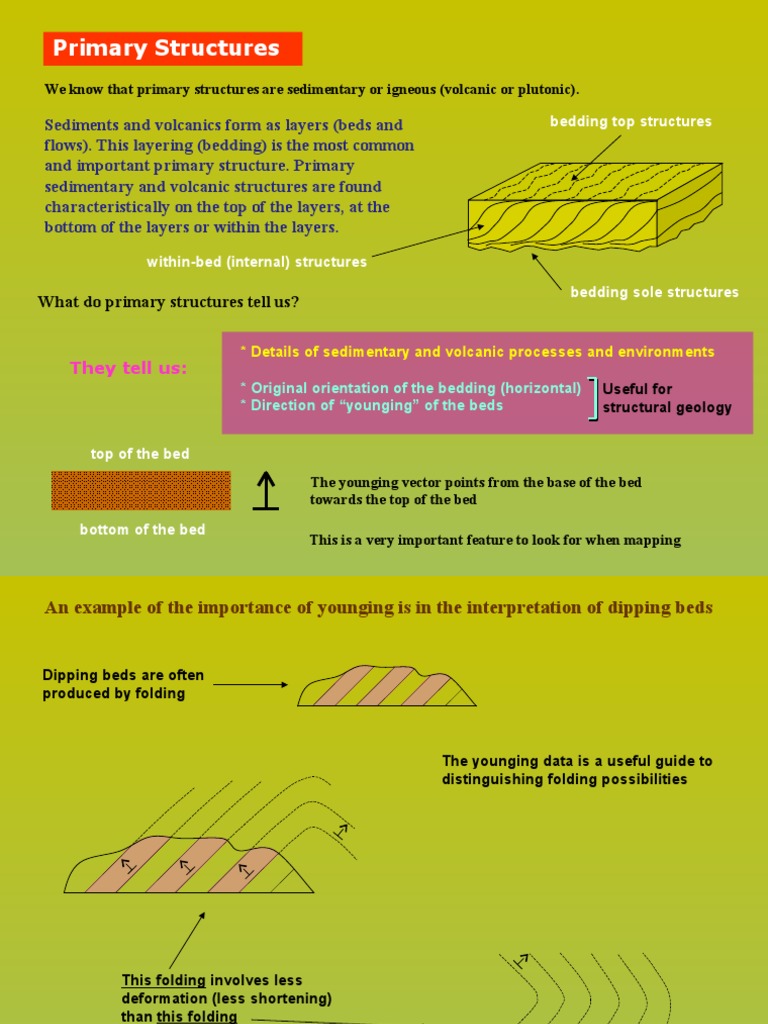 Understanding Primary Geological Structures | PDF | Sedimentary Rock ...