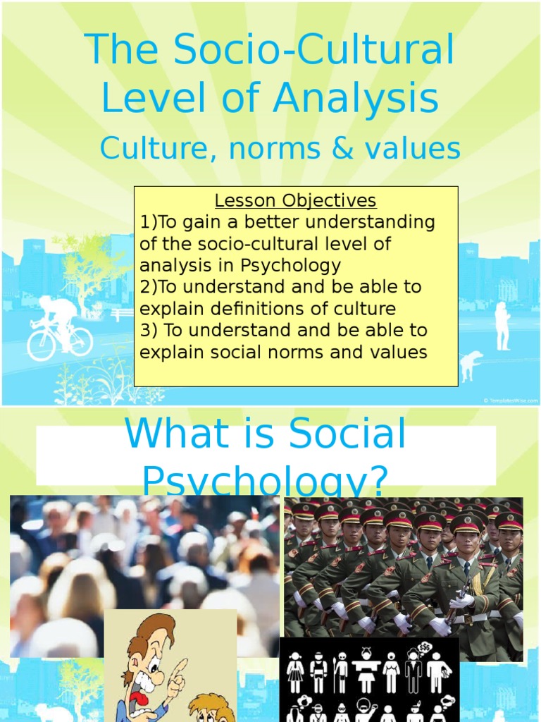 The Socio-Cultural Level of Analysis: Culture, Norms & Values | PDF