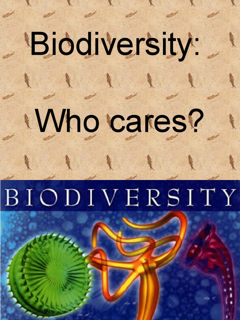 Importance of Biodiversity Explained | PDF