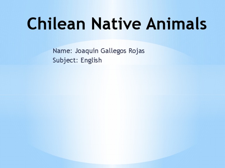 Chilean Native Animals: Name: Joaquin Gallegos Rojas Subject: English | PDF