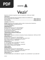 Herbicida Agricola ZethaMaxx Bula | PDF | Agricultura | Voo