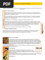 Instrumento Erke | PDF | Trompeta | Instrumentos musicales